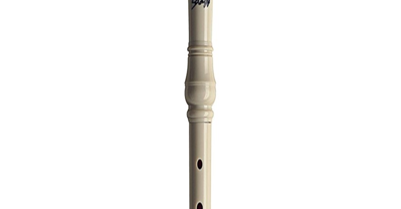 Sáo recorder Stagg REC-GER giá rẻ cho trẻ em và người mới chơi